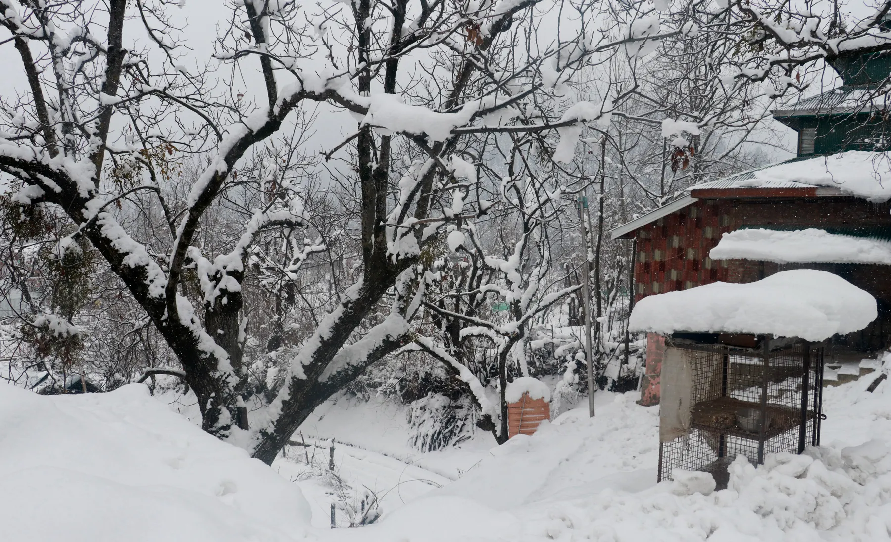 Kashmir’s higher reaches receive fresh snowfall