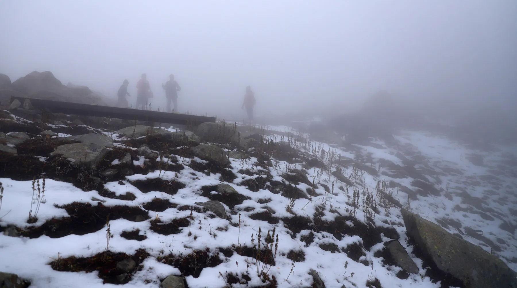 Fresh snowfall in higher reaches of Kashmir, rain lashes plains