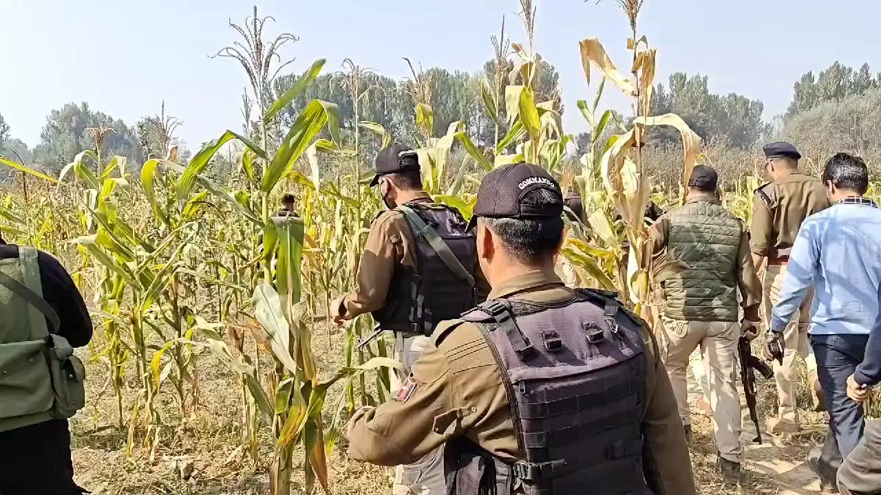 Bihar native killed in Shopian had left early morning to harvest maize ...