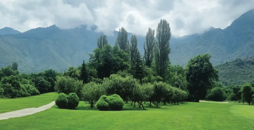 Tee off on Toxic Turf: Kashmir's Royal Springs Golf Course battles ...
