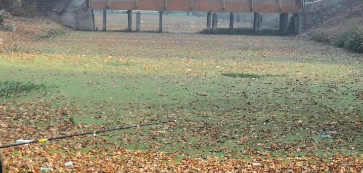 How crystal clear waterway turned into cesspool!