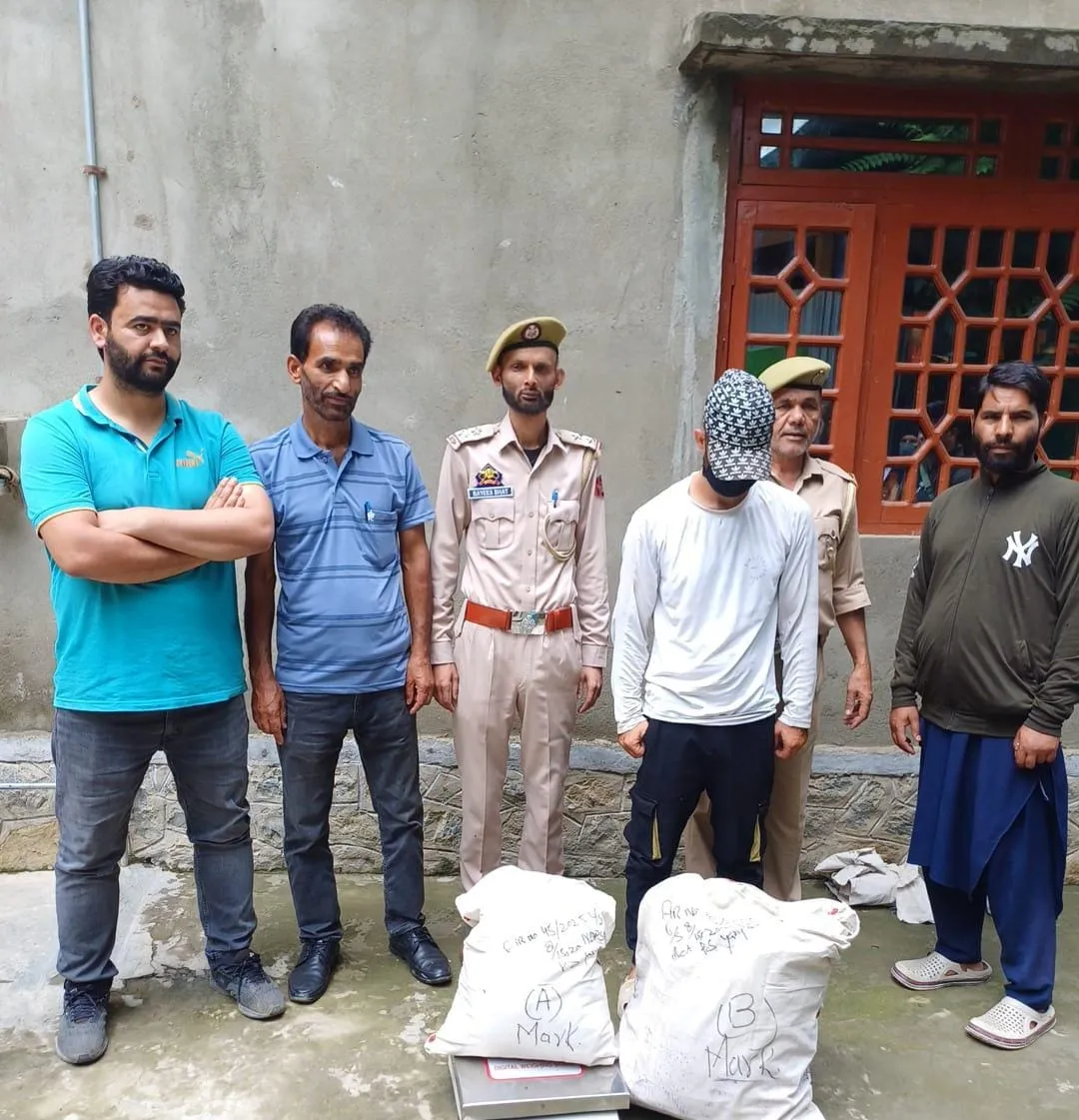 Drug peddler held with huge quantity of grinded cannabis, poppy straw ...