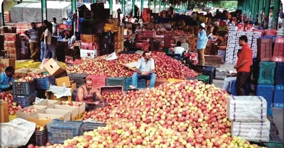 ASIA’S LARGEST FRUIT MANDI: Fruit trading hub in north Kashmir owes its ...