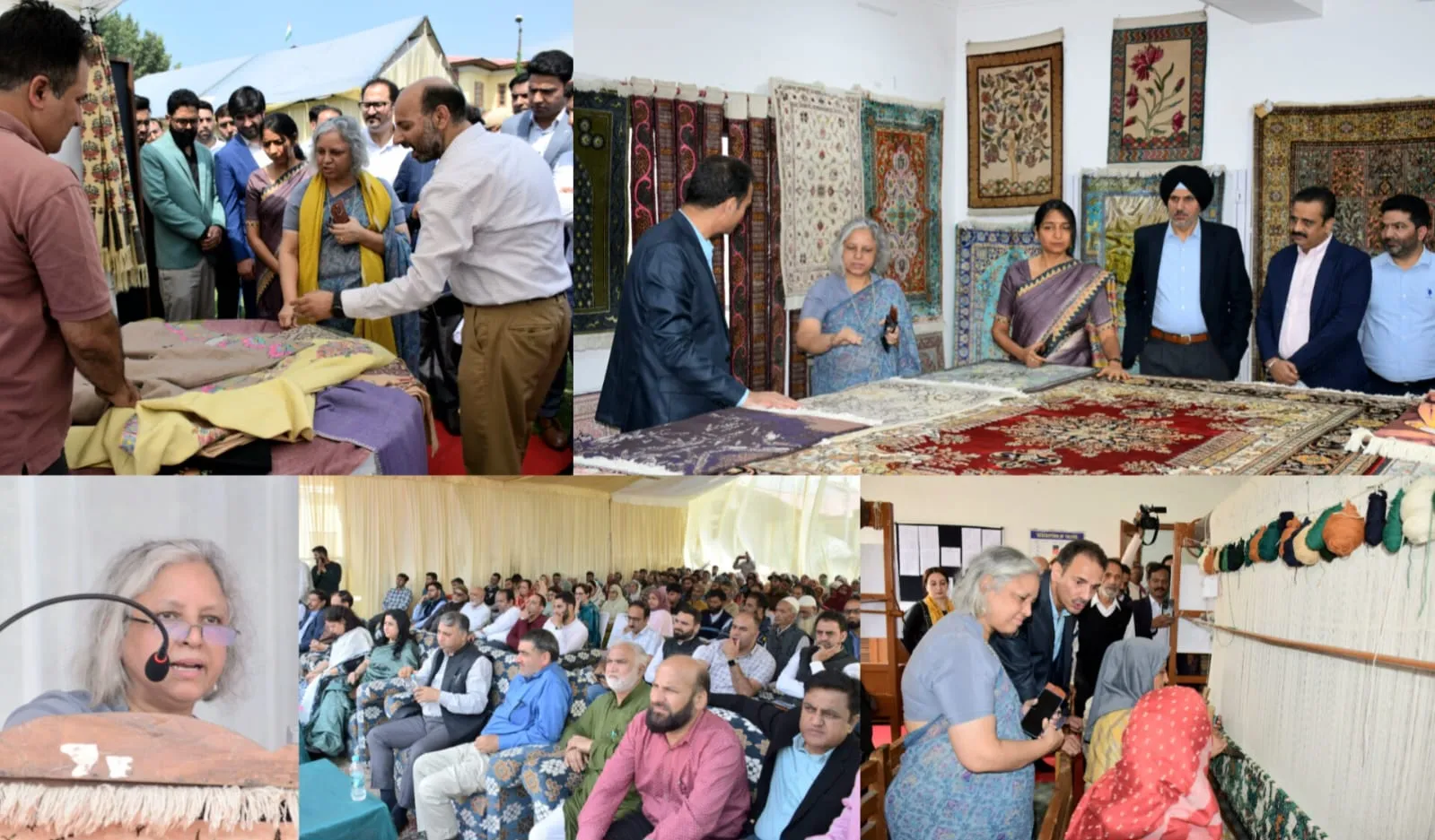 Kashmiri carpets get a makeover: Union Textiles Secretary rolls out ...