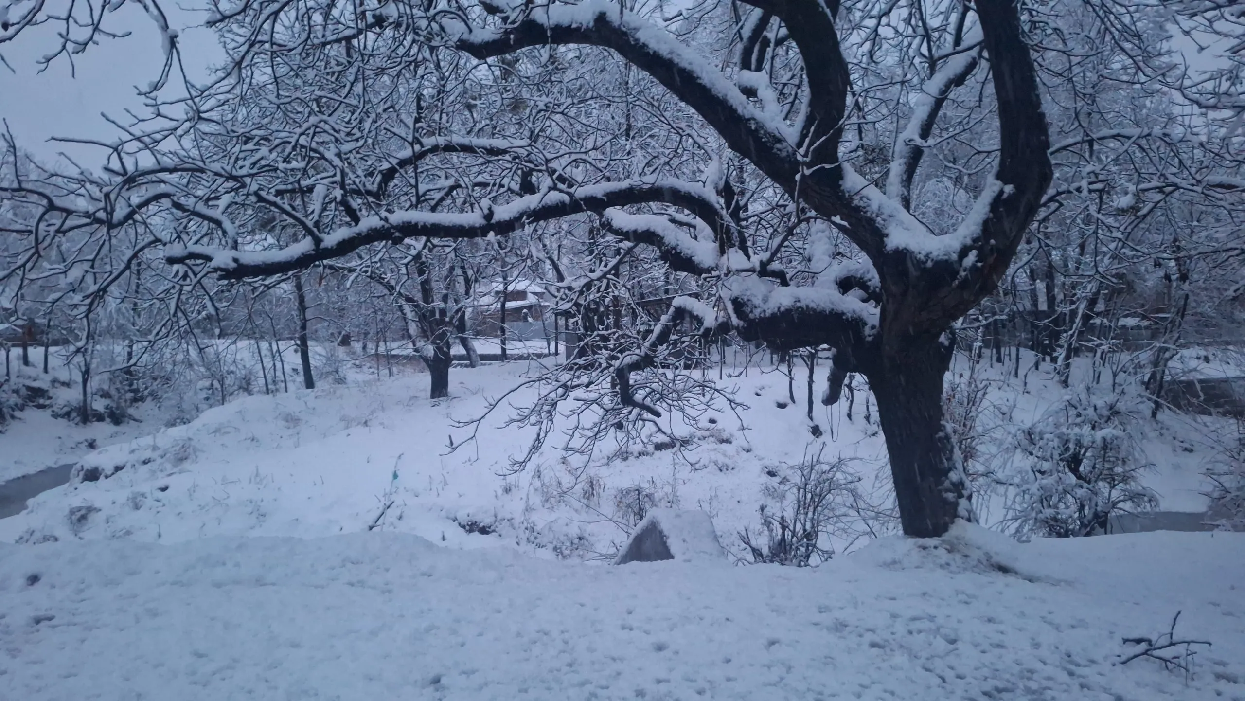 Fresh spell of snowfall throws life out of gear in Sopore